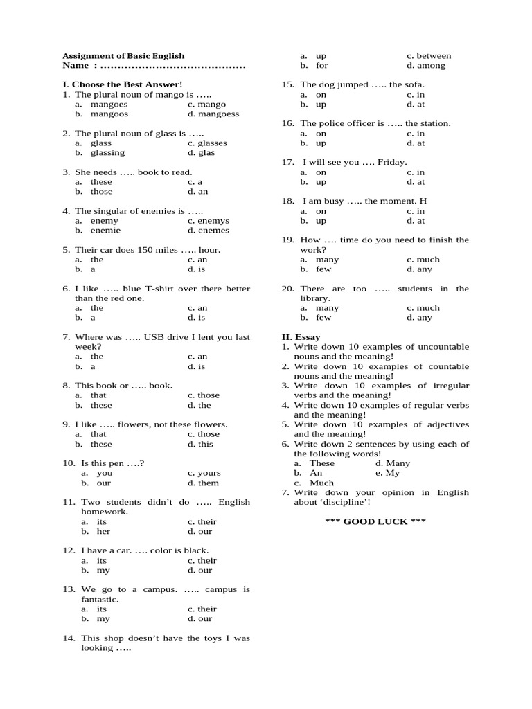 Assignment of Basic English | PDF | Noun | Language Arts & Discipline