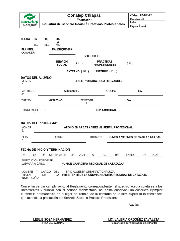 Solicitud de Práctica | PDF