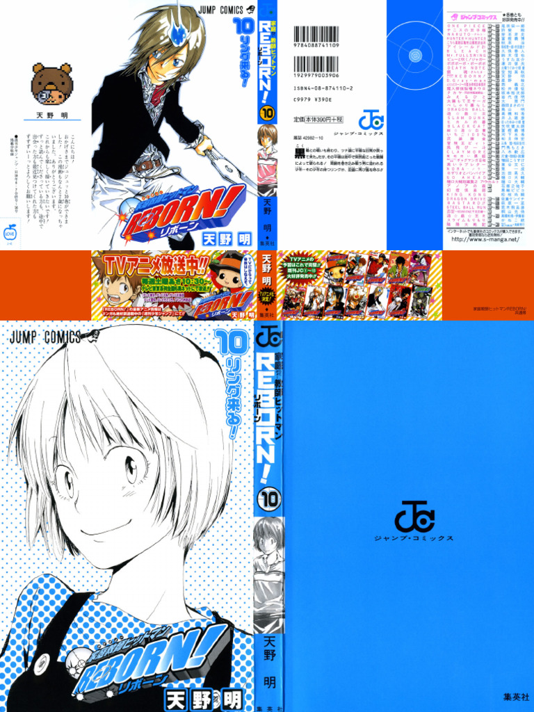 Reborn 10 | PDF