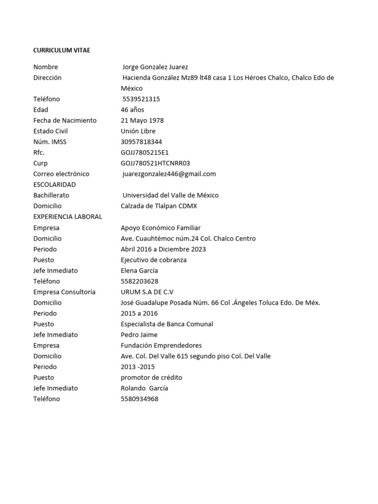 Curriculum Vitae JGJ | PDF