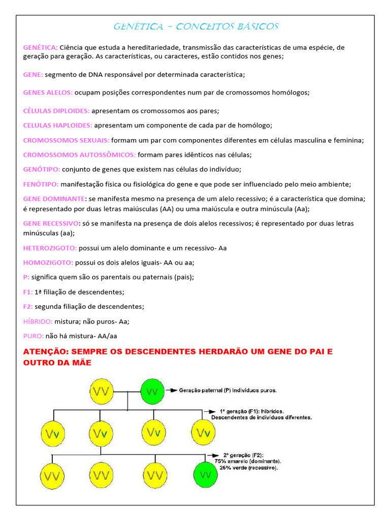Conceitos Basicos de Genetica | PDF