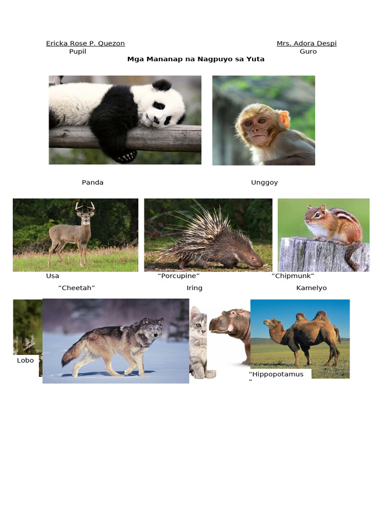 Mga Mananap Na Nagpuyo Sa Yuta | PDF