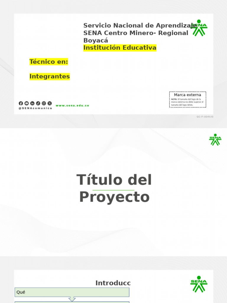 Presentacion Proyectos 2024 | PDF