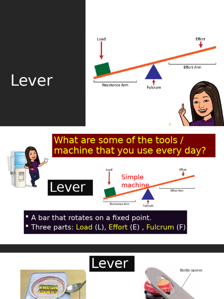8.2 (C) Lever | PDF