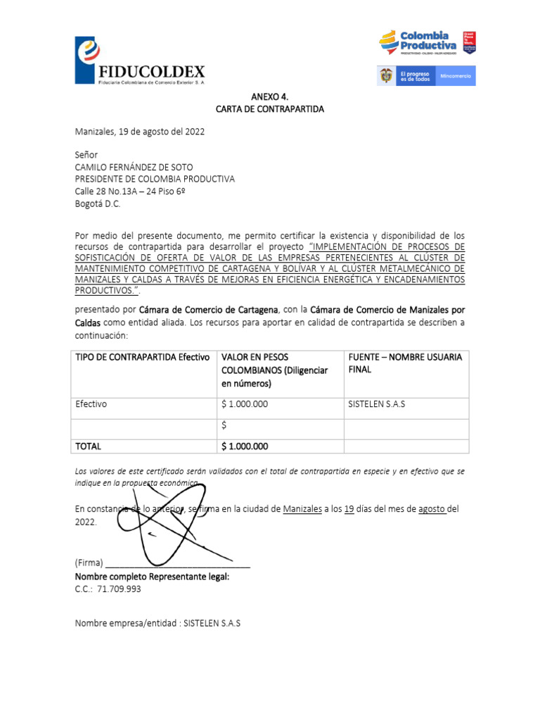 Anexo 4 - Carta de Contrapartida Modelo para Usuarios Finales Sistelen ...