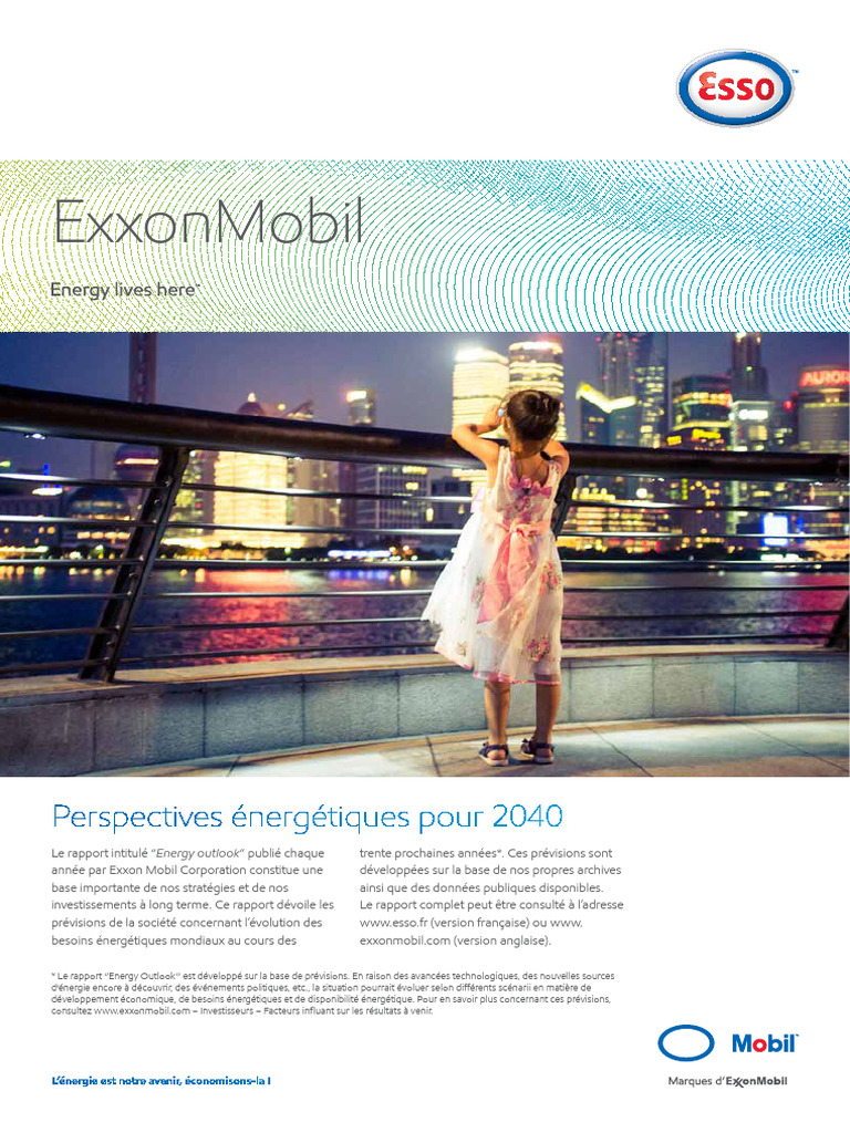 Exxon Mobil Esso Commercial Fuels France | PDF | Standard Oil | Exxon Mobil