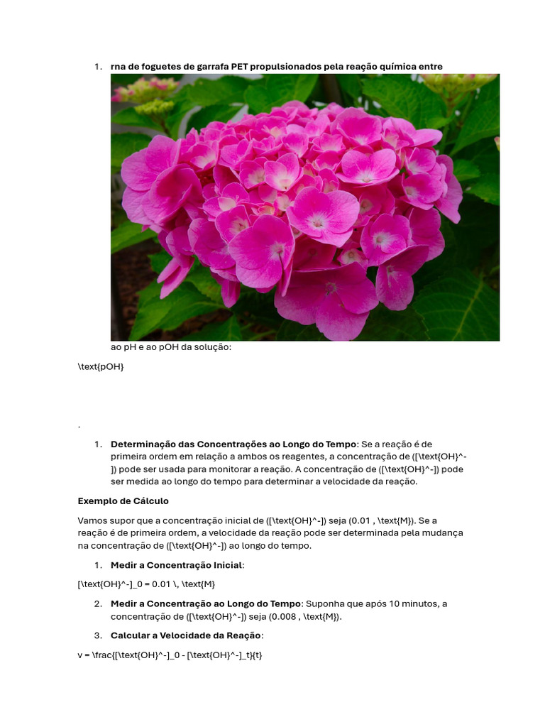 Flower | PDF