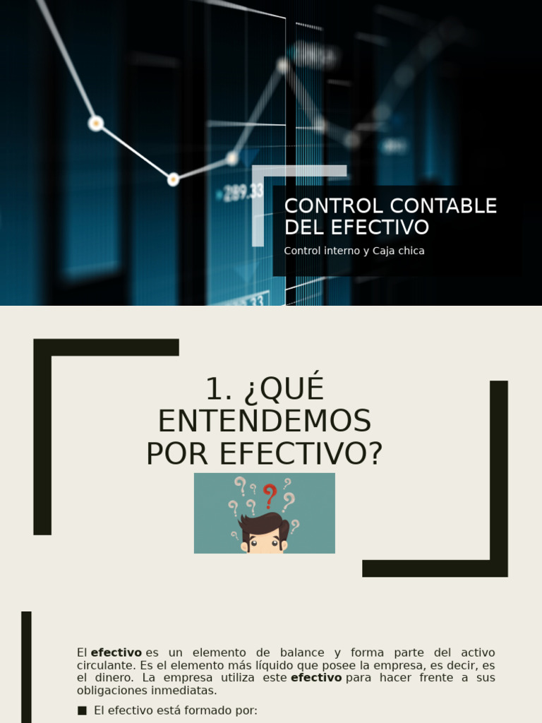Control Contable Del Efectivo y Caja Chica | PDF