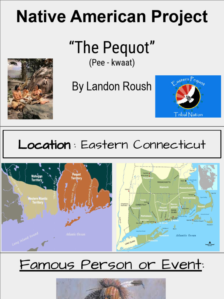 Native American Project | PDF