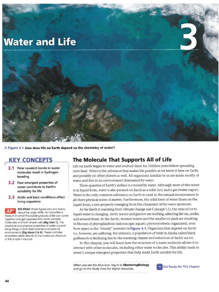 Chapter 3 Water and Life | PDF