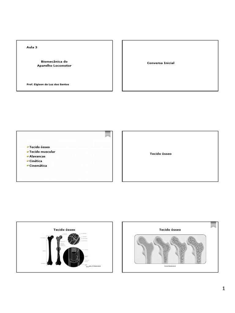 Slides AULA 3 MECANICA | PDF