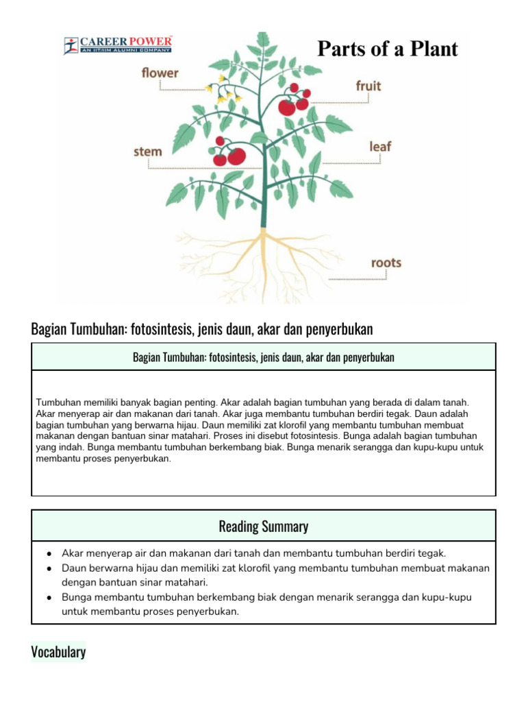 Bagian Tumbuhan - Fotosintesis, Jenis Daun, Akar Dan Penyerbukan - by ...