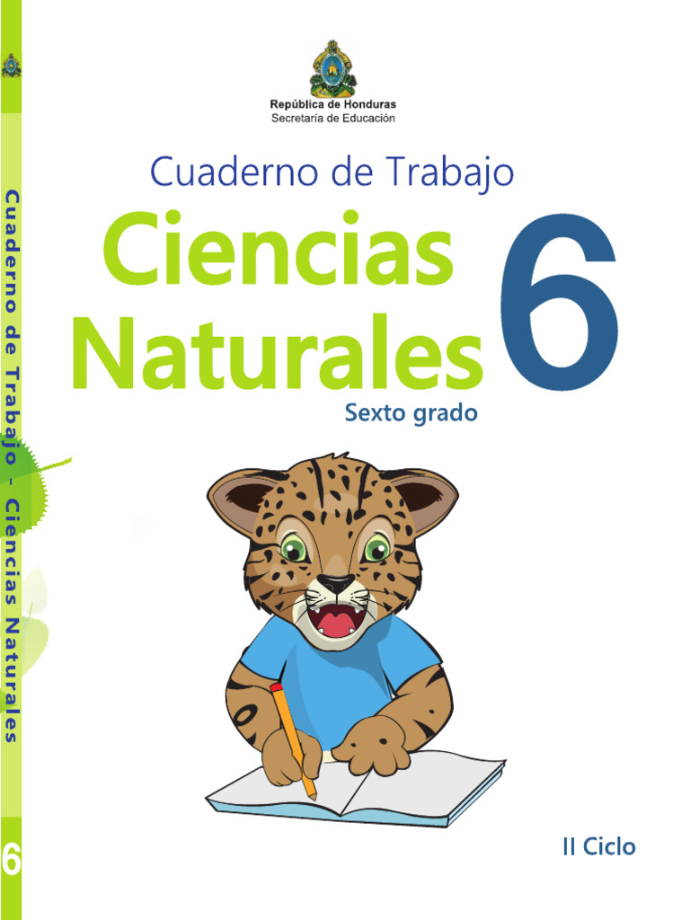 CCNN Cuaderno de Trabajo - 6to - Grado | PDF