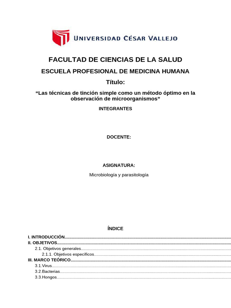 Informe (P1) | PDF