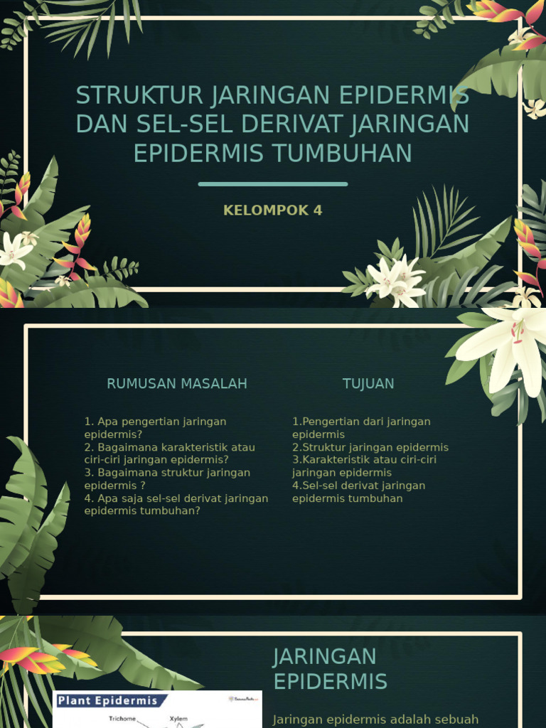 Struktur Jaringan Epidermis Dan Sel-Sel Derivat Jaringan Epidermis Tumbuhan | PDF