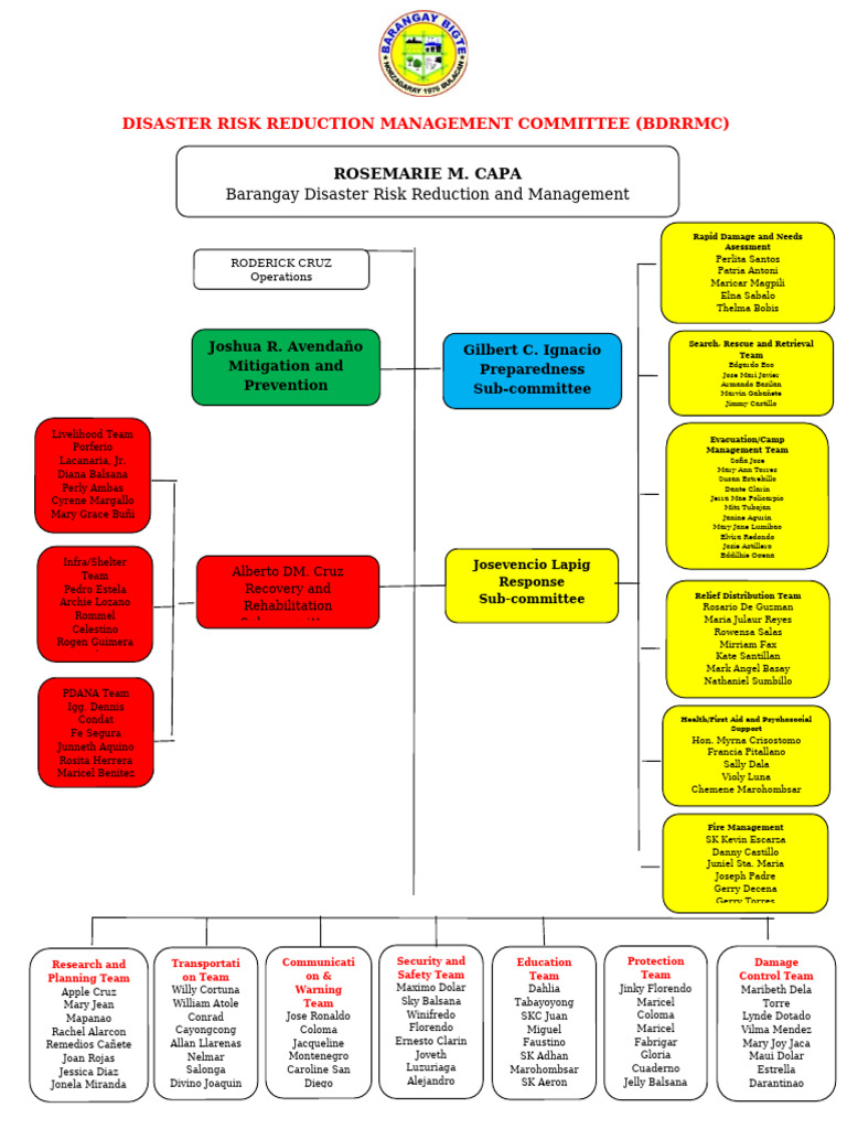 Workshop 1 - BDRRMP Committee | PDF