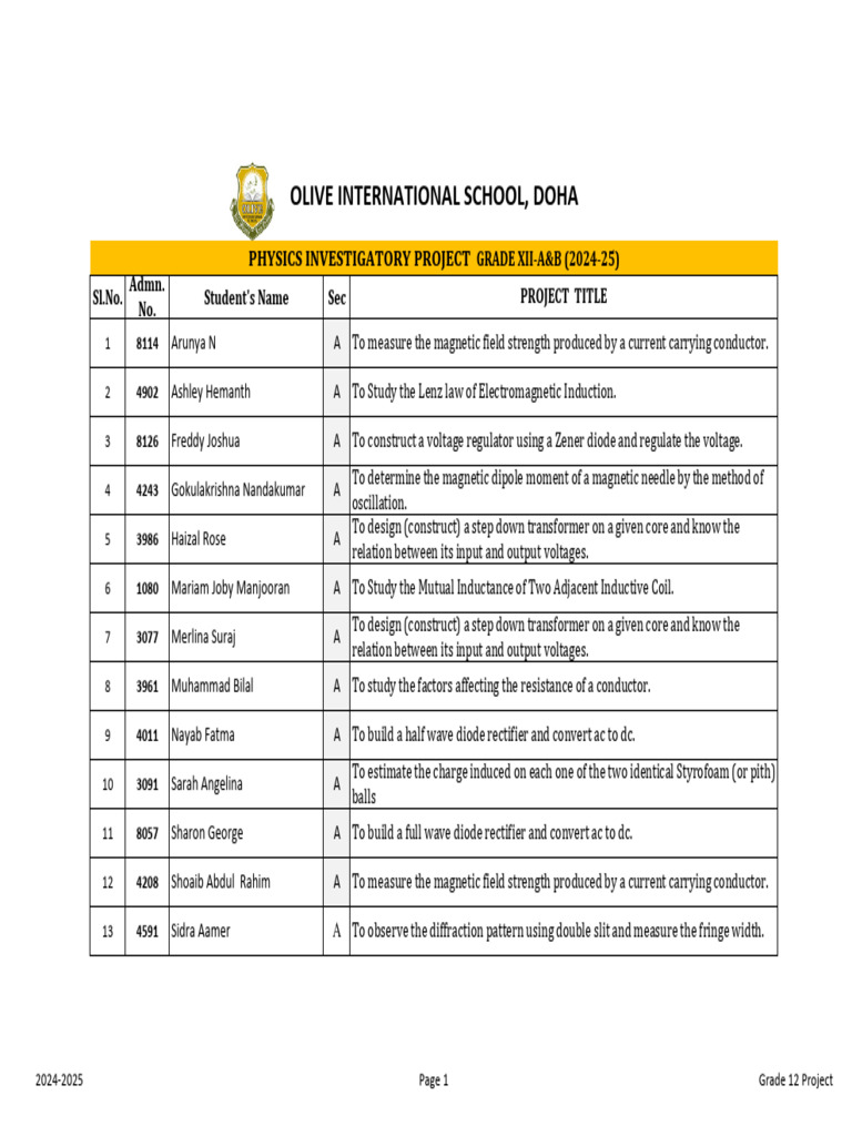 Grade 12_Project Groups | PDF