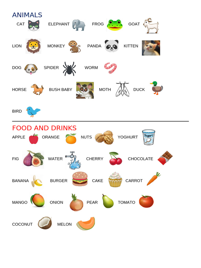 PICTURE DICTIONARY | PDF