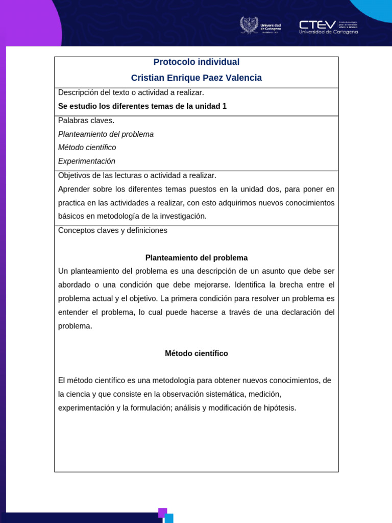 PLANTILLA PROTOCOLO INDIVIDUAL | PDF