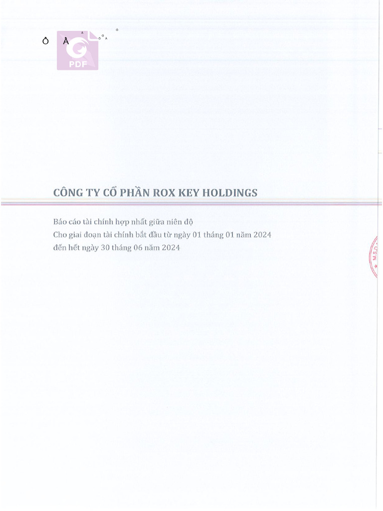 TN1 Bao Cao Tai Chinh Hop Nhat Quy 2 - 31072024112417.2024 | PDF