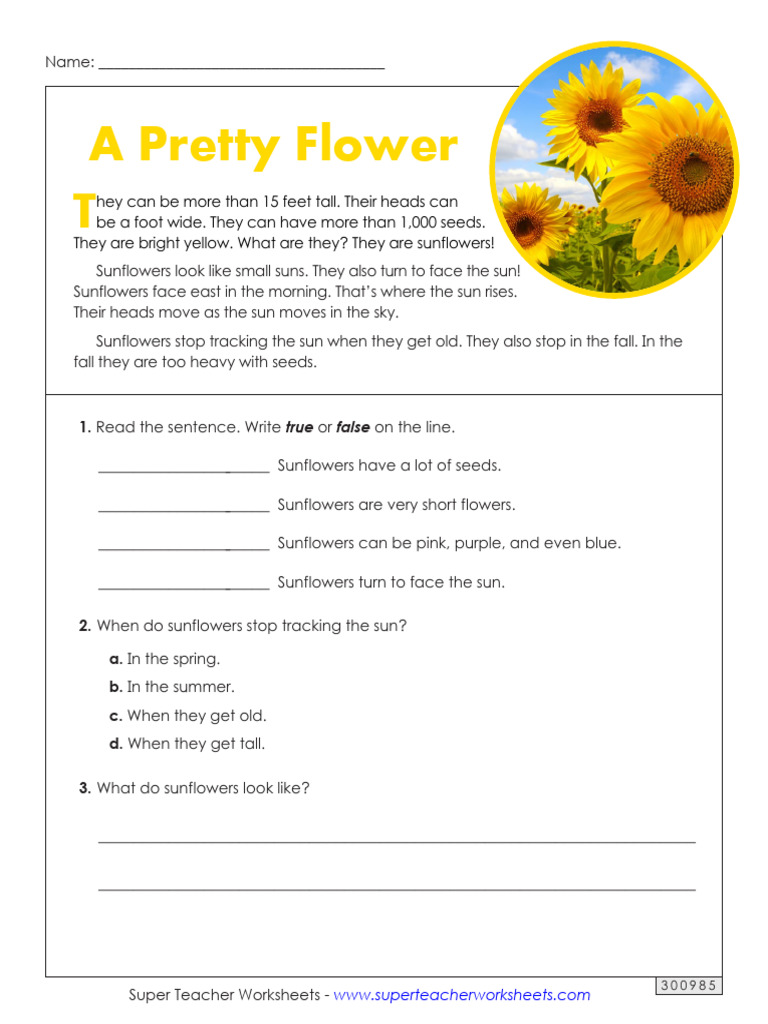 2nd A Pretty Flower - SUNFL | PDF