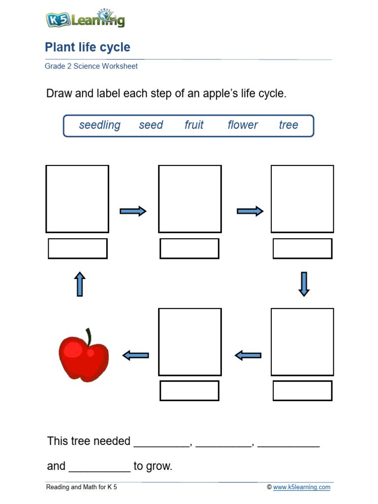 grade-2-plant-life-cycle-b | PDF