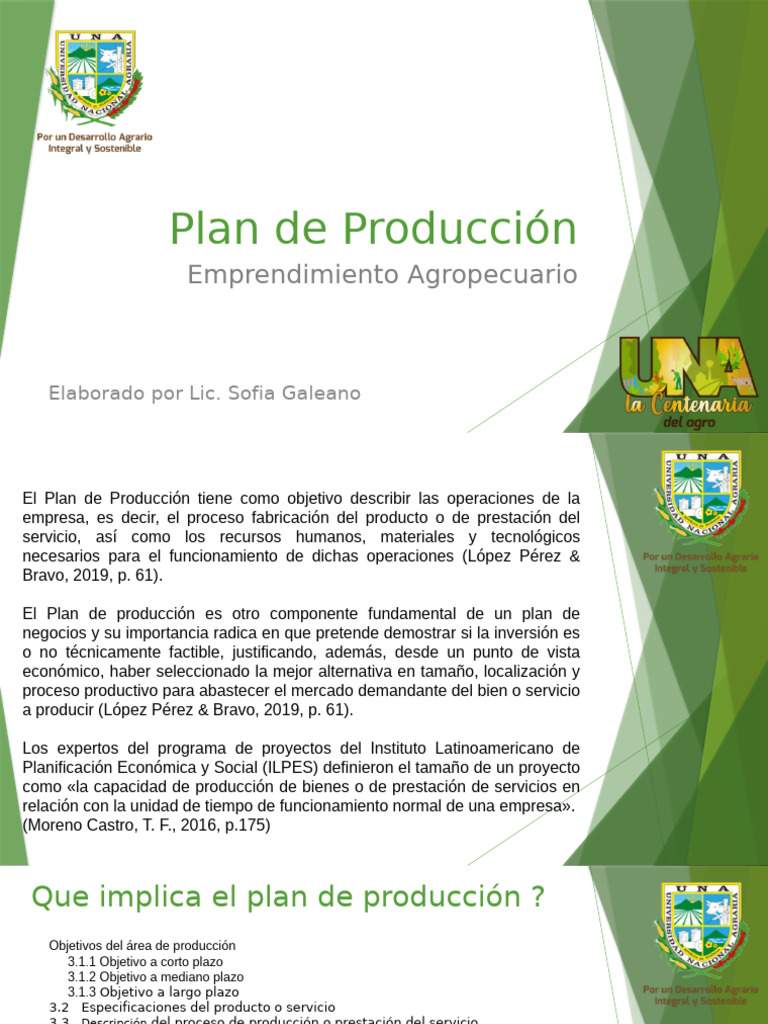 Plan de Produccion | PDF