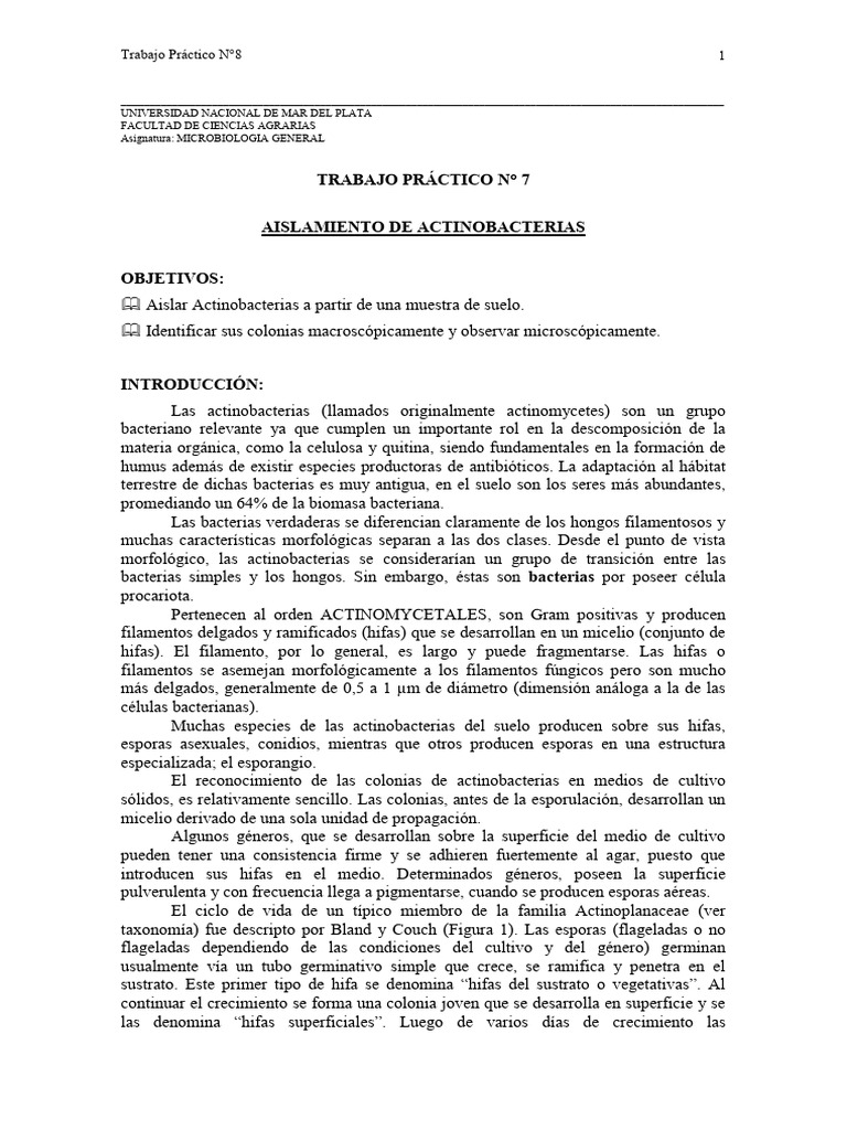 TP7 (Aislamiento de Actinobacterias) | PDF