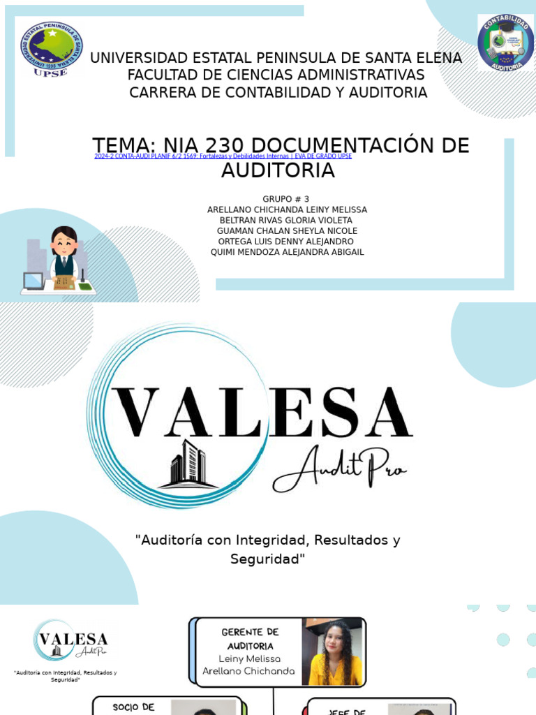 Nia 230 Documentacion de Auditoria | PDF