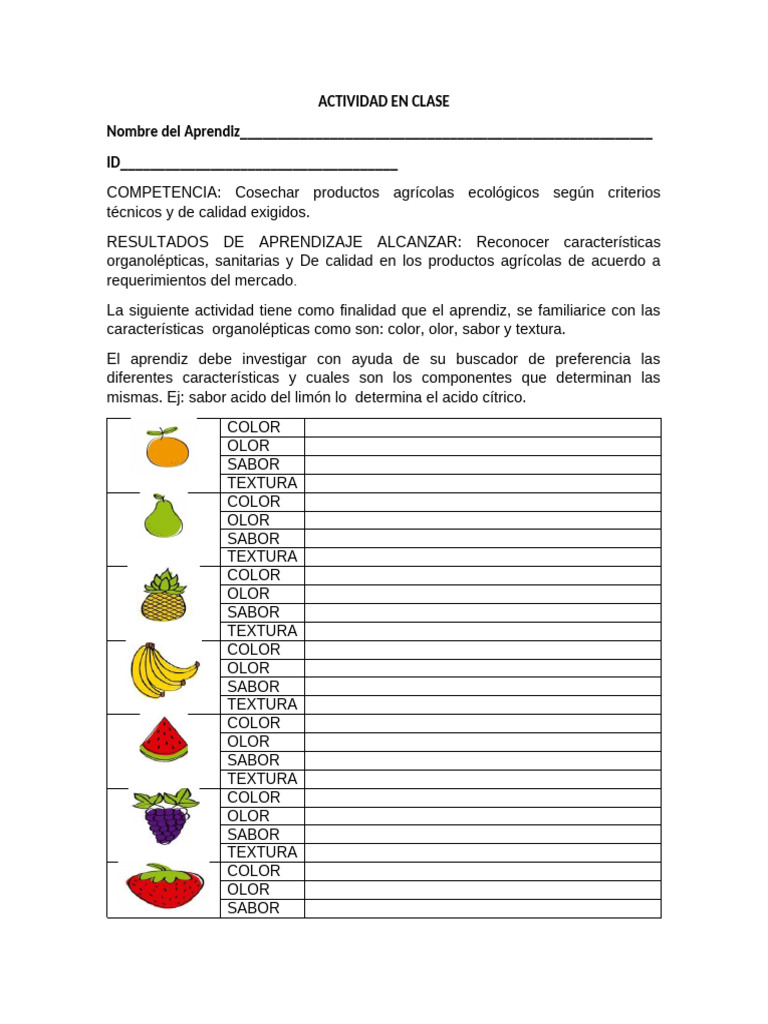Actividad en Clase Isnos | PDF