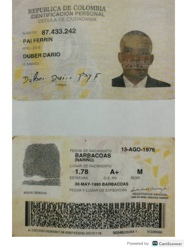 Cedula Dario Pay Ferrin | PDF