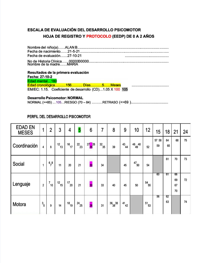 PDF Practica de Llenado de Hoja de Registro y Protocolo de Eedp Nio ...
