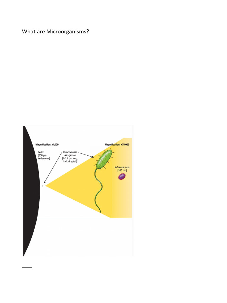 Personal Project Product DRAFT 1 | PDF