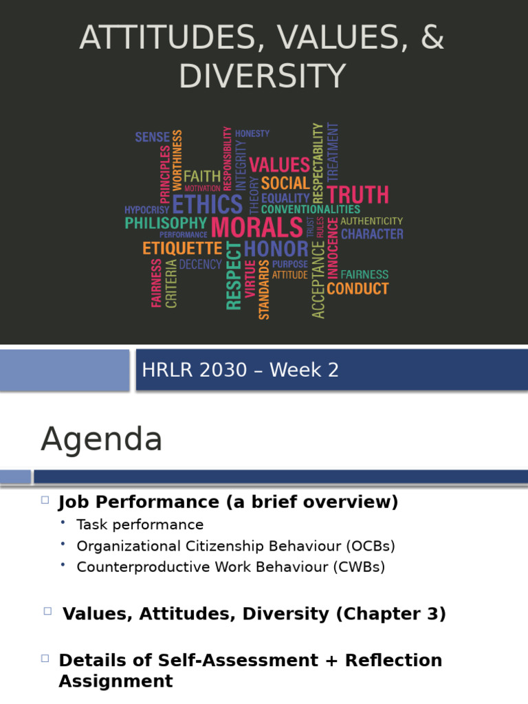 Week 2 - Attitudes, Values, Diversity Slides | PDF