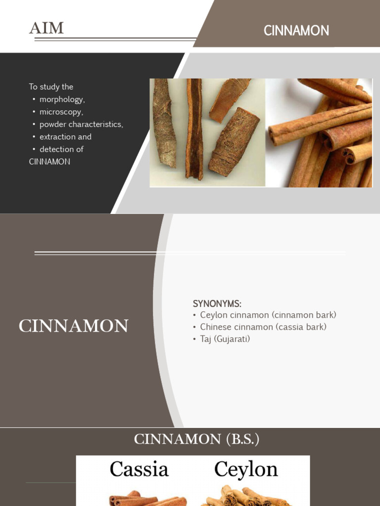 Cognosy Practical 4 Cinnamon | PDF