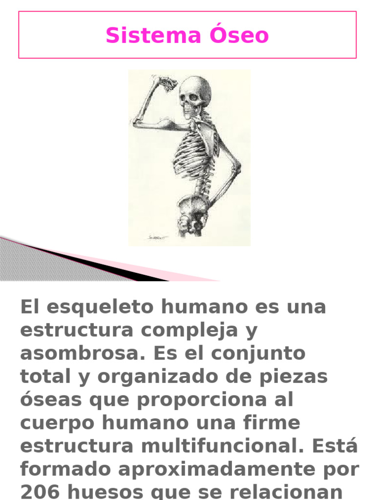 sistemaseo (1) lista | PDF