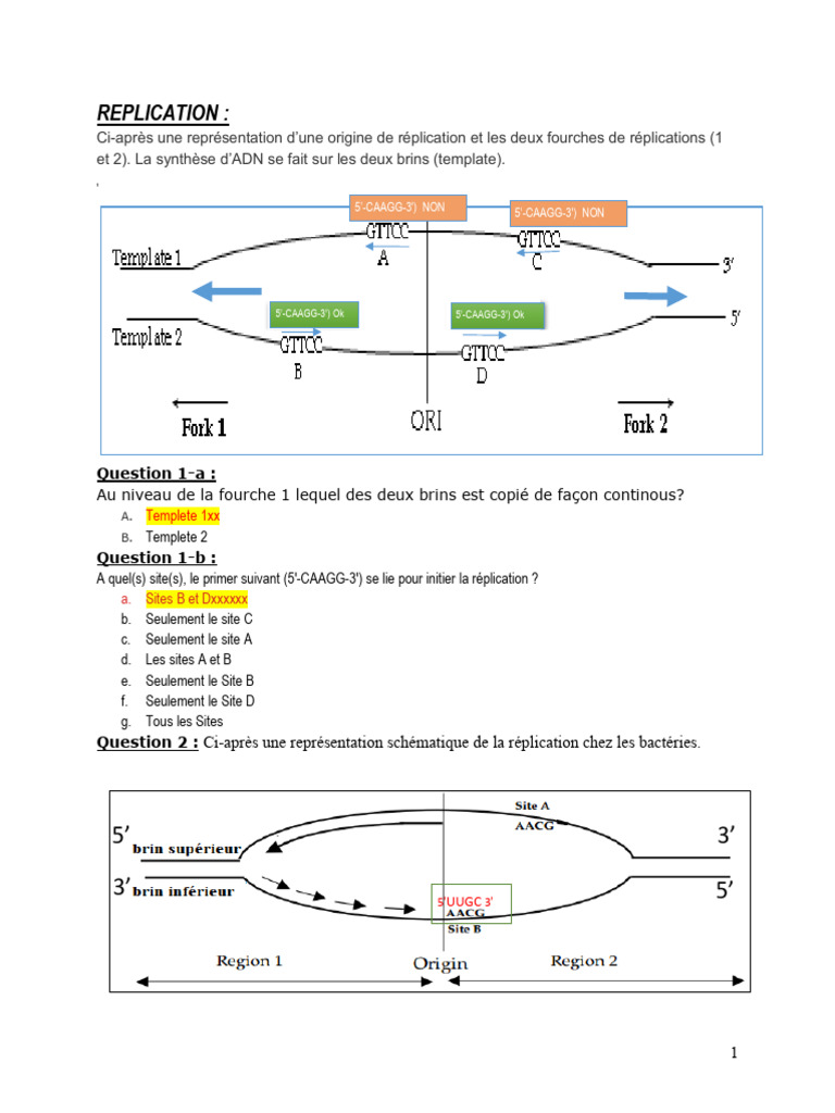 Genetique TD Corrige | PDF Genetique TD Corrige | PDF