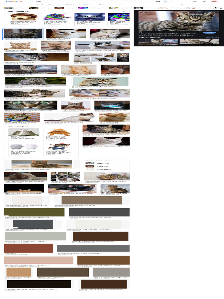 cat - Google Search | PDF