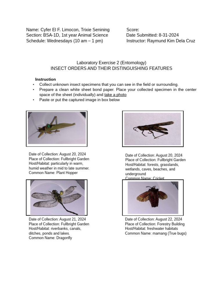 CPRT 41 Lab Output 2 | PDF