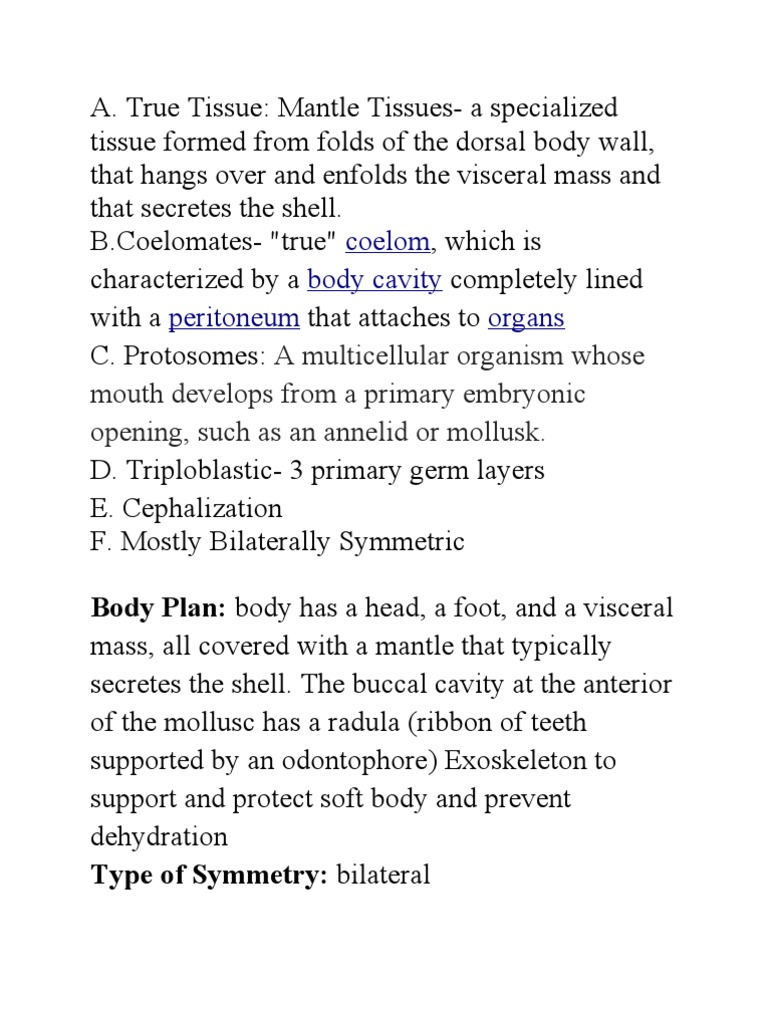 Coelom Body Cavity Peritoneum Organs | PDF | Mollusca | Bivalvia