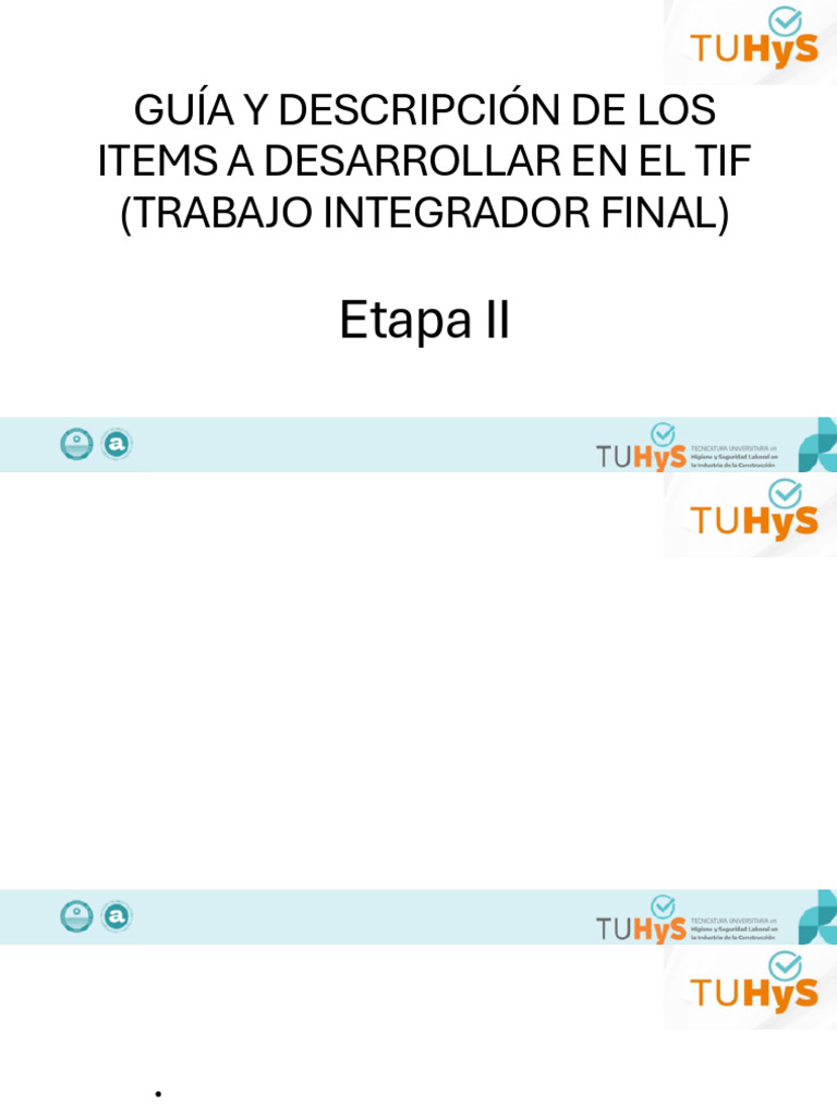 Guia Para La Realizacion de Tif-2024 - II Etapa | PDF