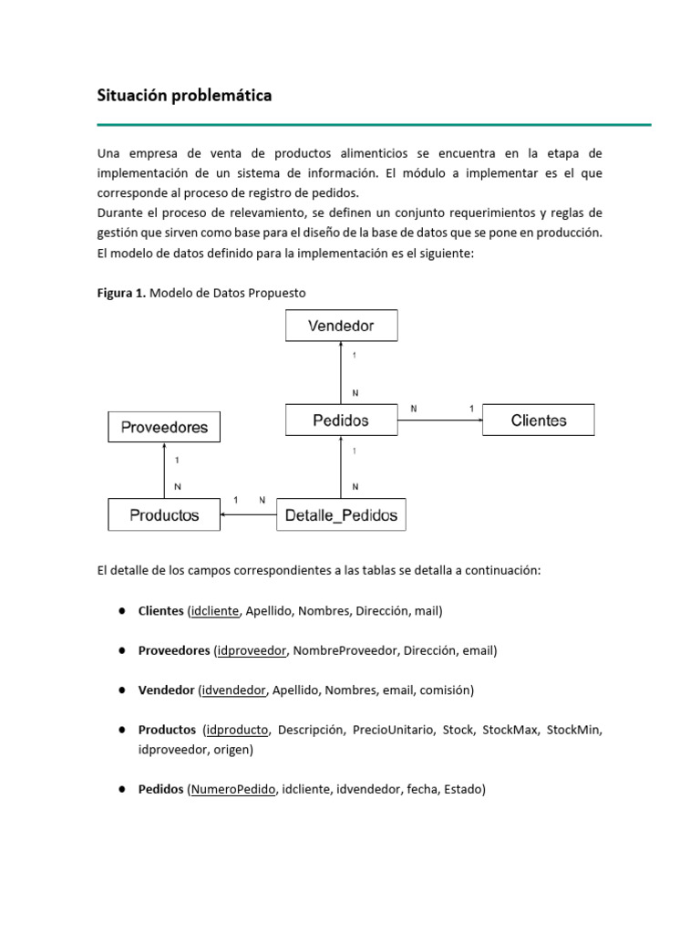 TP - Situación Problemática | PDF