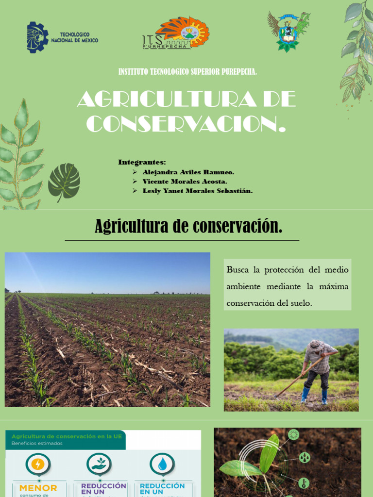 AGRICULTURA DE CONSERVACION | PDF