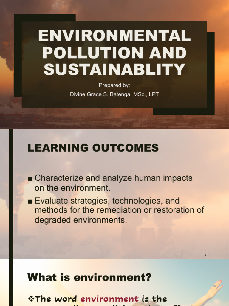 Environmental Pollution and Sustainablity | PDF