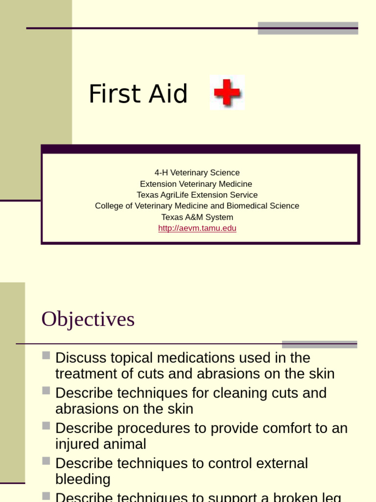 4 H First Aid | PDF