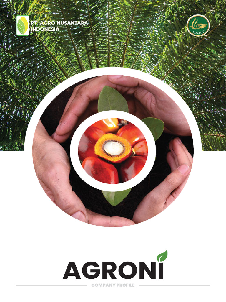 Company Profile Agroni 2024 | PDF