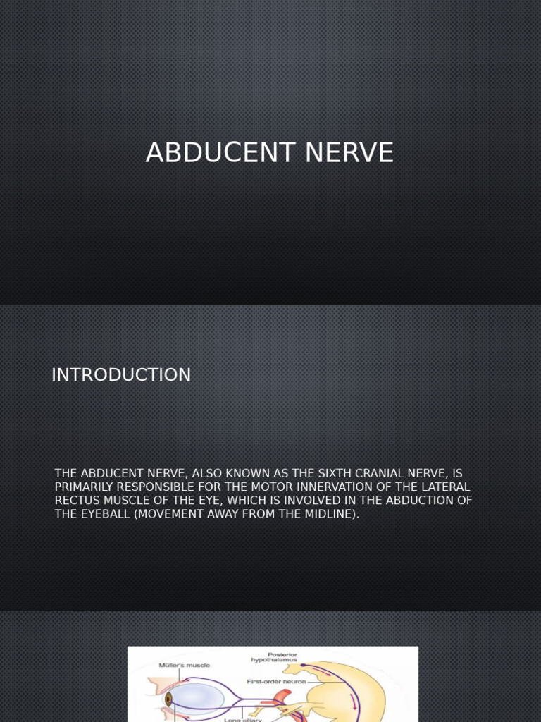 Abducent Nerve | PDF