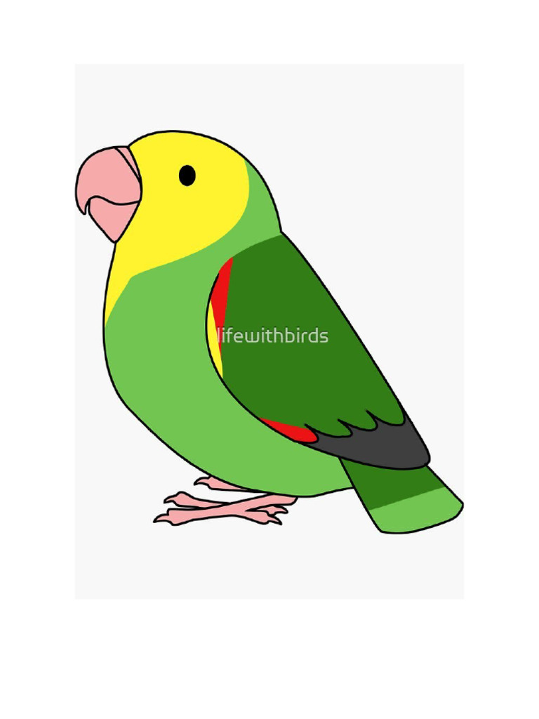 Loro | PDF