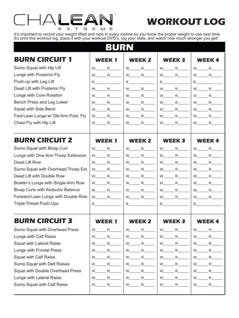 ChaLEAN WorkoutLog | PDF | Auto Cad | Computing
