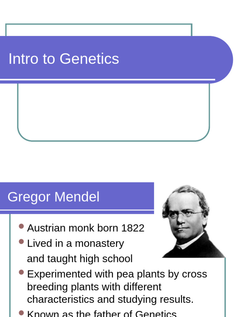 Monohybrid Cross Pdf